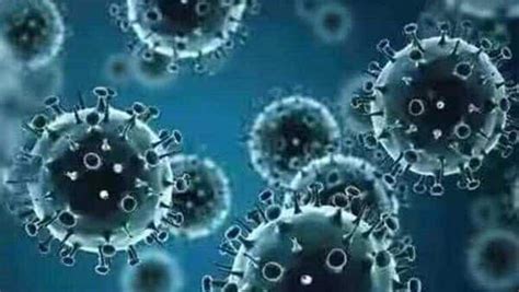 H3n2 Surge In India These States Reported Influenza Cases So Far