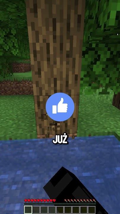 Minecraft Ale Nie MogĘ DotknĄĆ Koloru Zielonego Shorts Youtube