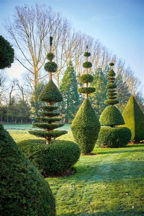 The Cressy Hall Topiary A Miraculously Well Kept Secret Country Life