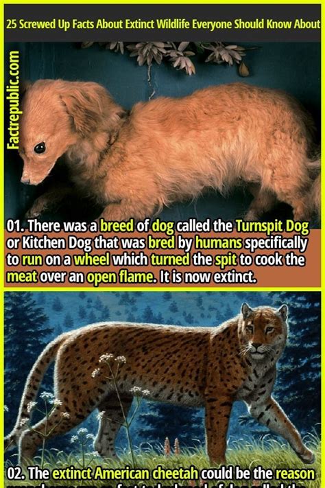 25 Screwed Up Facts About Extinct Wildlife Everyone Should Know About