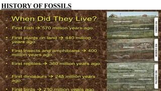 History Of Fossils Process Of Fossilization PDF