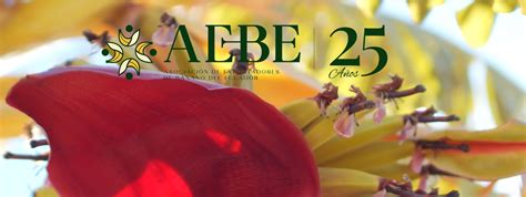 Aebe Celebra 25 Años De Logros Y Compromiso