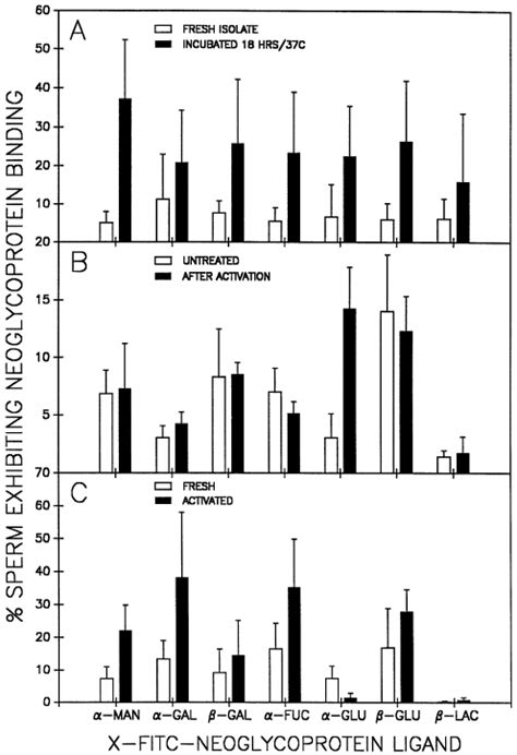 Comparison Of The Sugar Ligand Binding Affinities Of Human Cynomologus