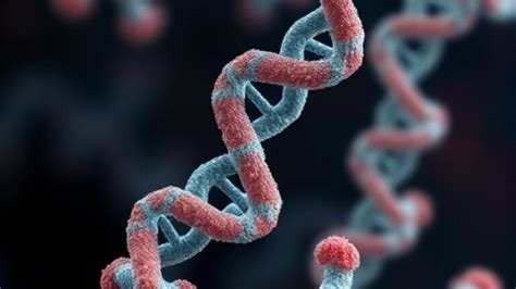 Machine Learning Cracked The Protein Folding Problem And Won The 2024 Nobel Prize In Chemistry