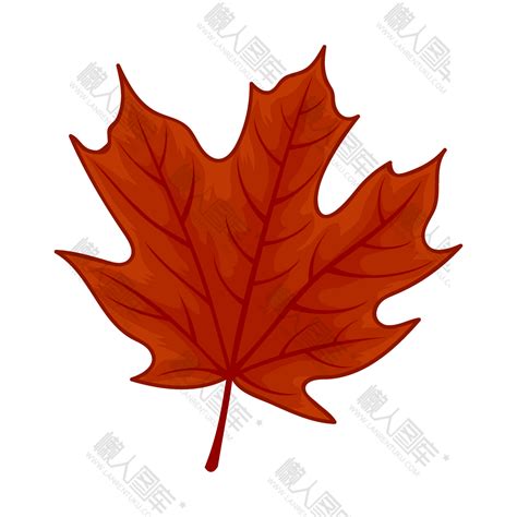 廊坊市女画家赵彩凤笔下牡丹富贵有灵 栩栩如生作品齐白石广阳区