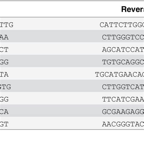 Primer Sequences For Gene Expression Analyzed By Qrt Pcr Download Table