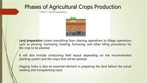 POWERPOINT TLE AGRI CROP Pptx