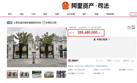 285亿！上海一豪宅成交，买家身份揭开房产拍卖小区