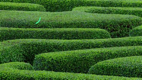 Spirent Communications On Linkedin Openran