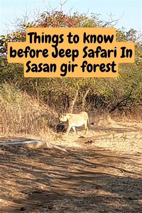 Things To Know Before Jeep Safari In Sasan Gir Forest