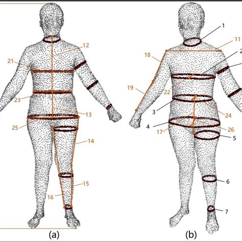 Index Marked Anthropometric Parameters Girth Parameter Black And