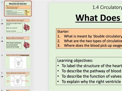 Wjec Gcse Biology Topic 4 Circulatory System In Humans Complete