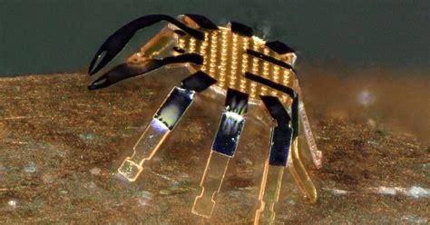 Tiny Robot Crab Army Could Assist With Surgeries One Day Cnet