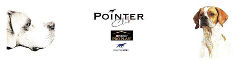 Pointer Club Français Helloasso