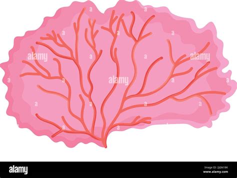 Brain Coral Icon Stock Vector Image And Art Alamy