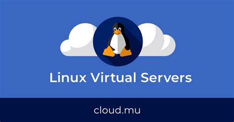 Linux Virtual Private Server VPS Hosting In Mauritius Cloud Mu