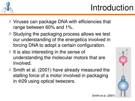 PPT Lambda DNA Ejection Measurements And Modeling PowerPoint Presentation ID