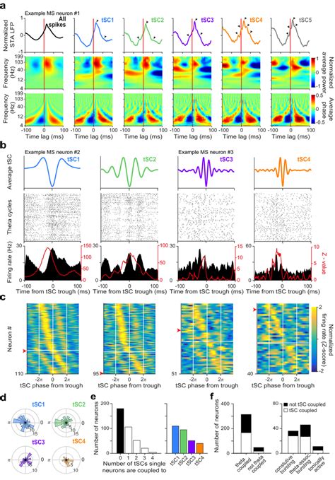 Ms Neurons Show Phase Coupling To Hippocampal Tscs A Top Spike
