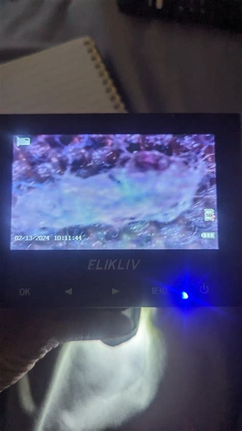 Bug Identification Rbugidentification