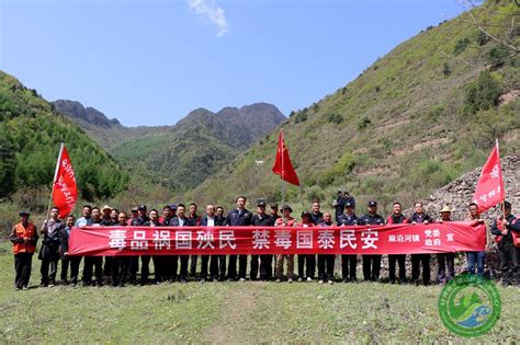 麻沿林场 徽县公安局联合开展禁种铲毒踏查活动 麻沿林场 甘肃省小陇山林业保护中心官方网站
