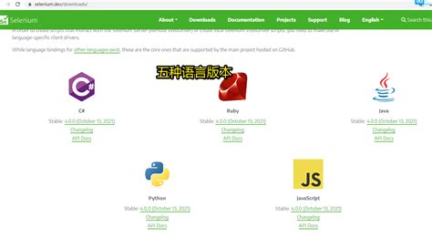Selenium 4 Release版发布，新特性介绍 Csdn博客