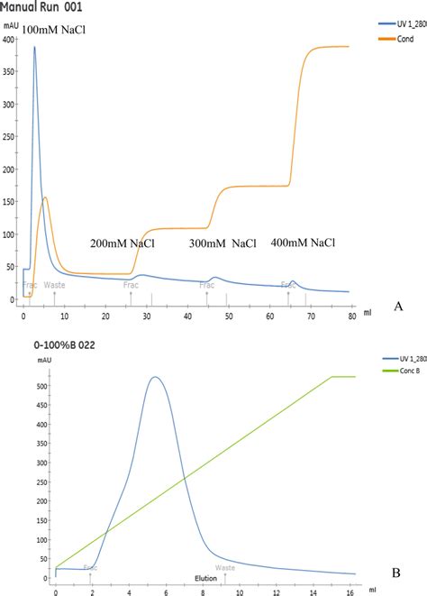 Sp Sepharose Column Chromatography Elution Profiles A Proteins Were