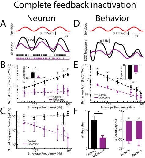 Figures And Data In Feedback Optimizes Neural Coding And Perception Of Natural Stimuli Elife