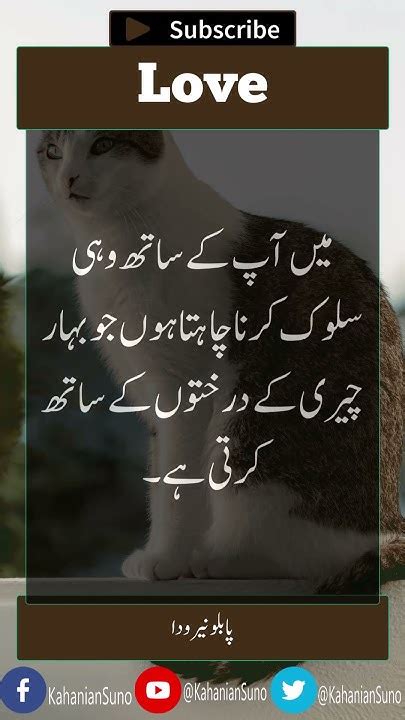 Mein Aap Ke Sath Wohi Salook Karna Chahta Hun Pablo Neruda Love