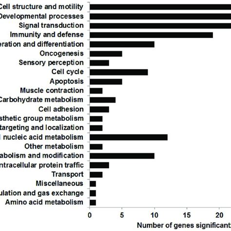 The Functional Categories Of Significantly Regulated Genes Above Download Scientific Diagram