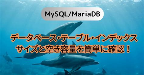 Mysql Mariadb