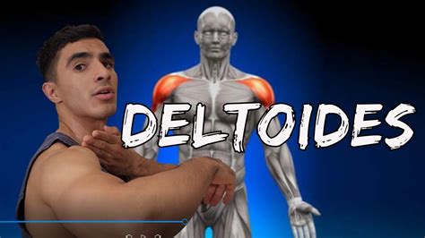1 Deltoides Anatomía funcional en 5 min Origen Inserción y