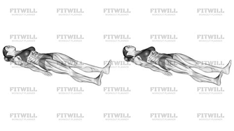 Lying Glute Squeeze Exercise Guide Techniques Benefits How To