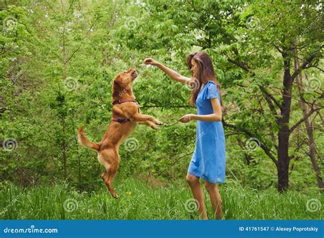 La Donna Sta Giocando Con Il Cane Immagine Stock Immagine Di Verde