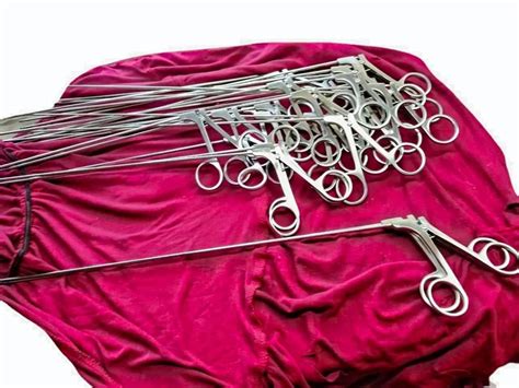 Pcnl Alligator Forcep 9 Fr At ₹ 1200 In Mumbai Id 2853203412897