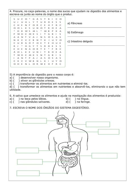 Atividade Sobre Sistema Digestivo 5 Ano Roaredu