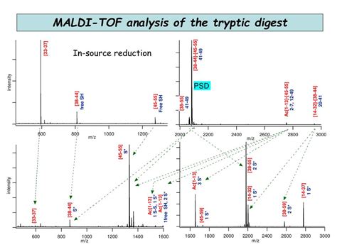 Ppt Post Translational Modifications Powerpoint Presentation Free Download Id 3370443