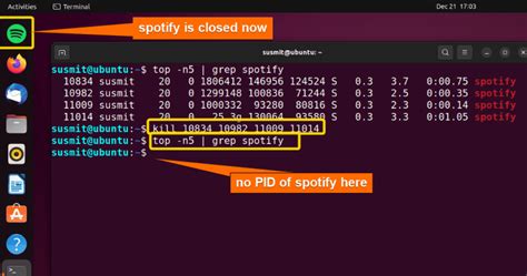 The Kill Command In Linux Practical Examples