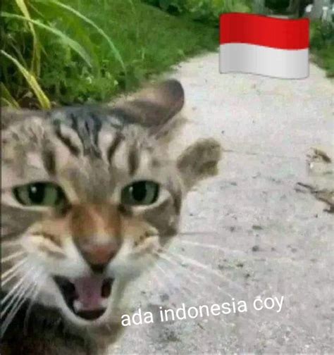 7 Meme Ada Indonesia Coy Versi Netizen Kamu Begini Juga