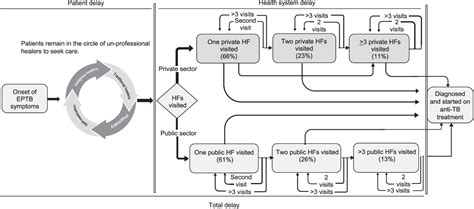 Figure 1 From Care Seeking Pathways And Diagnostic Delays In