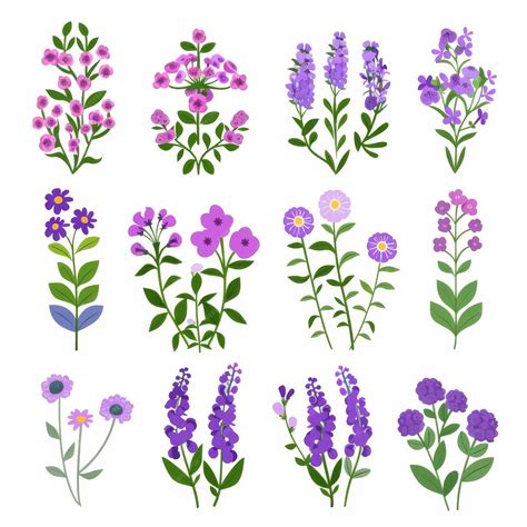 Statice Flower Icon Set Garden Statice Flower Flat Design Abstract