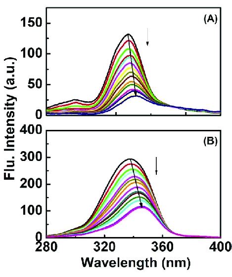 Synchronous Fluorescence Spectra Of Hemoglobin In The Presence Of