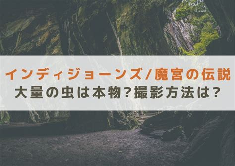 インディジョーンズ魔宮の伝説の虫は本物撮影方法は シネマアップデート