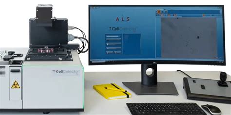 Cell Line Development Lab Manager