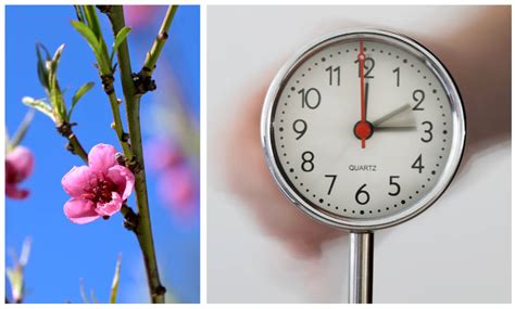 加州时间：美国加利福尼亚州时区详解