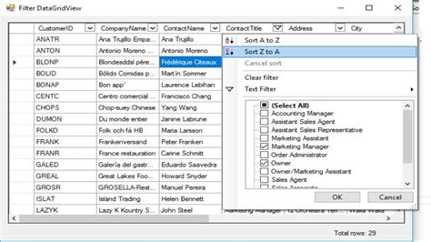 C Tutorial Advanced Filter DataGridView FoxLearn YouTube
