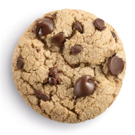 Are Caramel Chocolate Chip Girl Scout Cookies Vegan At Anna Tichenor Blog