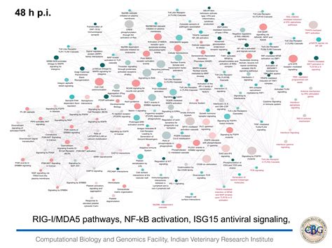 Ngs Data Analysis Overview Pdf Biological Sciences Science