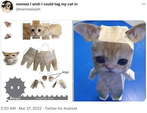Papercraft Templates Cat Memes My Xxx Hot Girl