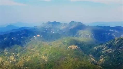 广东惠东发现世界上最神秘的鸟海南鳽