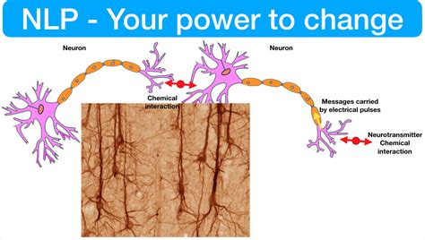 The Effects Of Stress And How Nlp Can Help